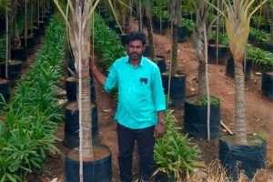 Rajahmundry Nursery - Order Best Plants | Sri Krishna Nursery